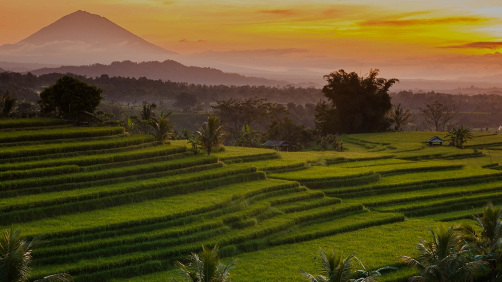 Bali | Bali Travel Guide: Things to Do & Places to Visit | escape.com.au